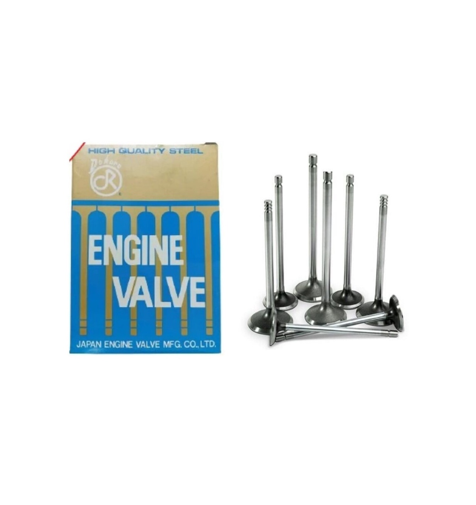 Válvulas Admisión (Dokuro) – Carmundo Surtimontero